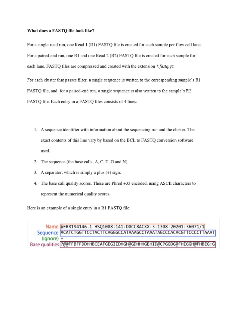 What Does A FASTQ File Look Like? | PDF | Dna Sequencing | Life Sciences