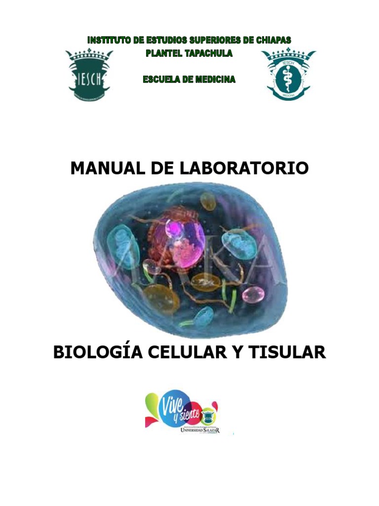Manual Biologia Celular Tisular | PDF | Hueso | Epitelio