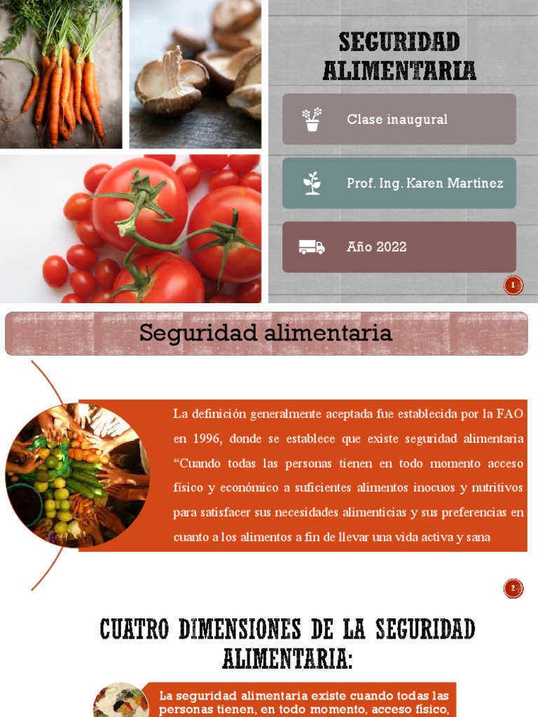 Seguridad Alimentaria PDF Seguridad Alimentaria Alimentos