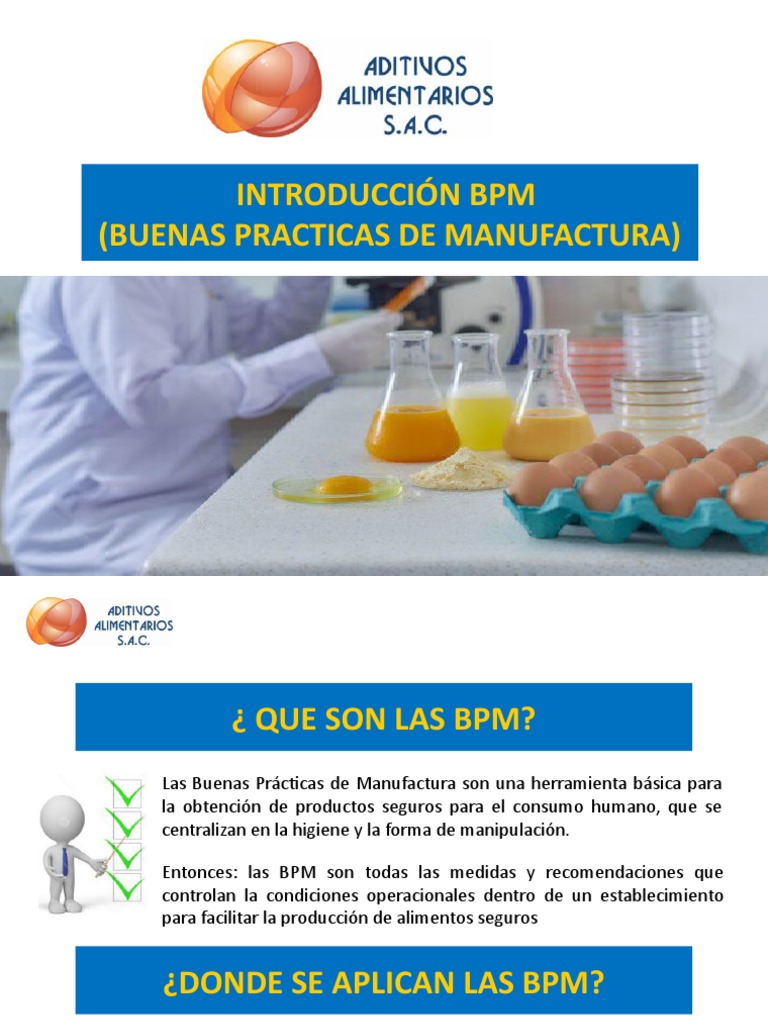 Introduccion BPM | PDF | Comida y bebida | Salud pública