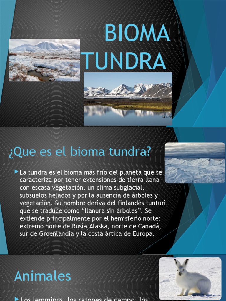Bioma Tundra Exposicion | PDF | Fenómenos de la tierra | Ecología