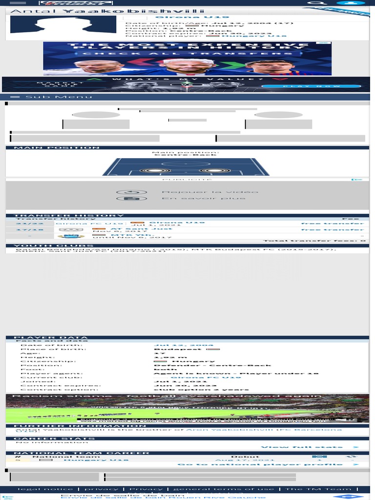 Antal Yaakobishvili - Player Profile Transfermarkt | PDF | Sports ...