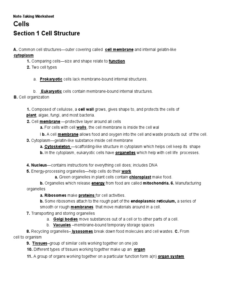 Cell Structures Worksheet | PDF | Cell (Biology) | Cytoplasm