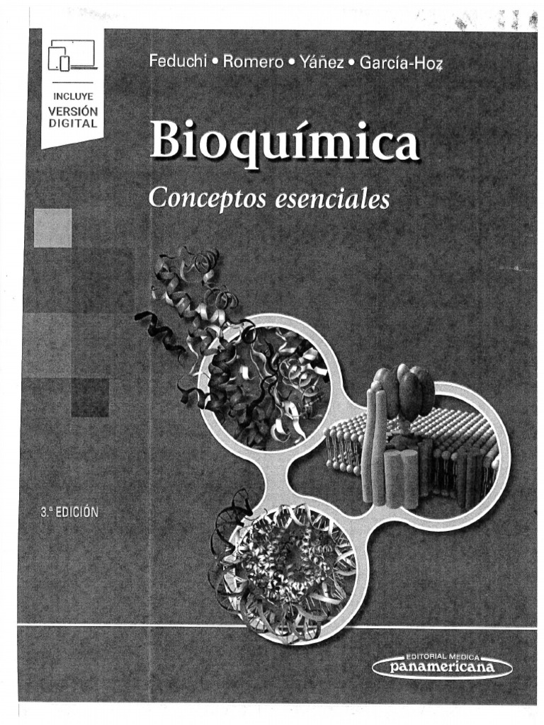 Bioquimica Coceptos Esenciales 3er Edicion | PDF