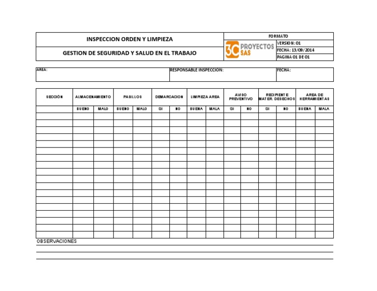 Inspeccion de Orden y Aseo | PDF