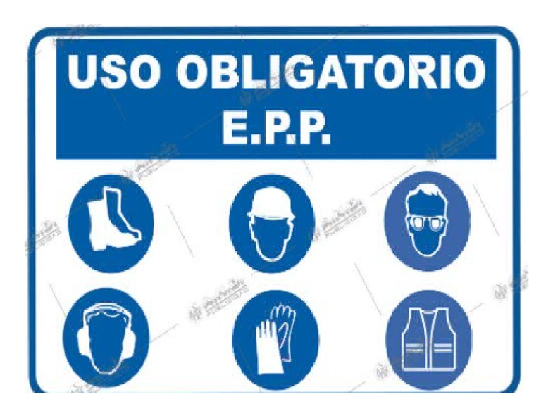 epp obligatorio | PDF