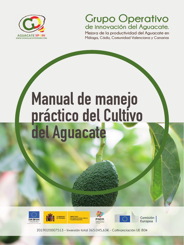 Manual Practico Aguacate | PDF | Agricultura | Fertilizante