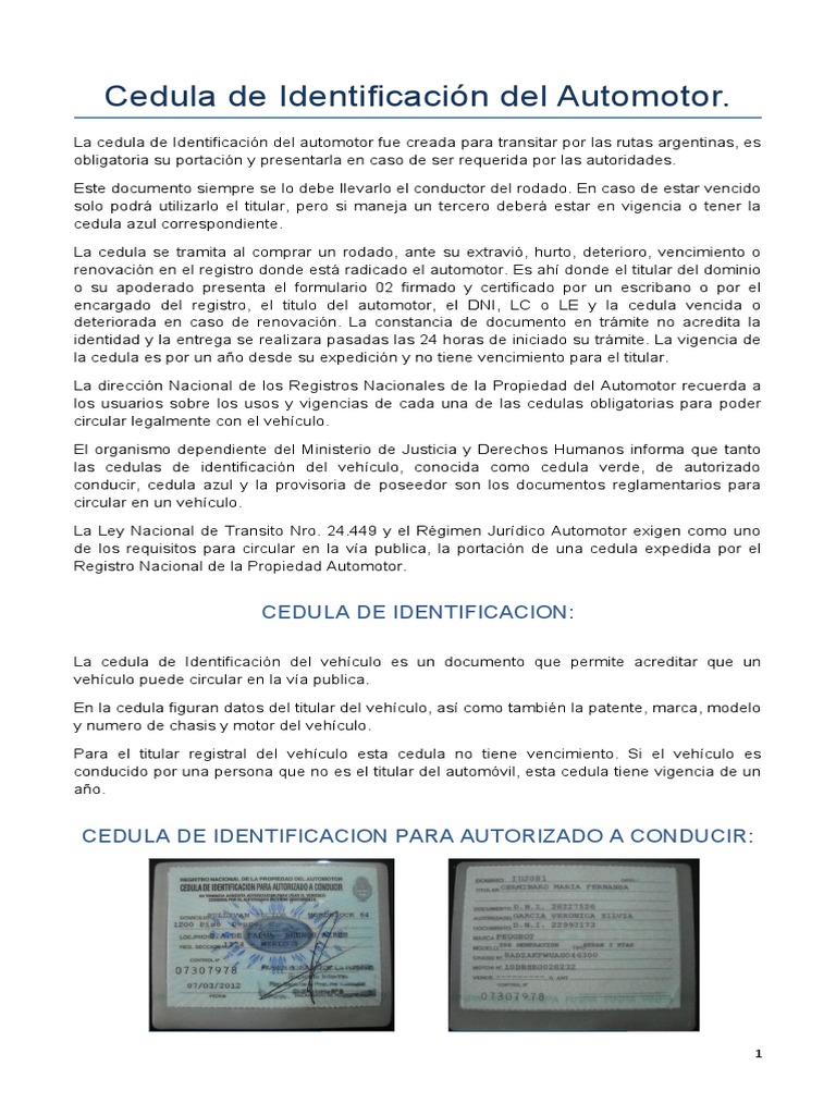 Cedula de Identificacion, Chapa Patente y Carnet de Conducir | Descargar gratis PDF | Licencia ...