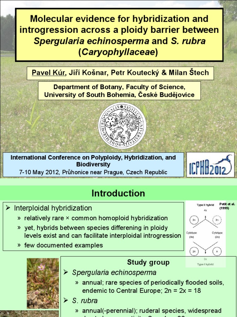 Molecular Evidence For Hybridization and Introgression Across A Ploidy ...