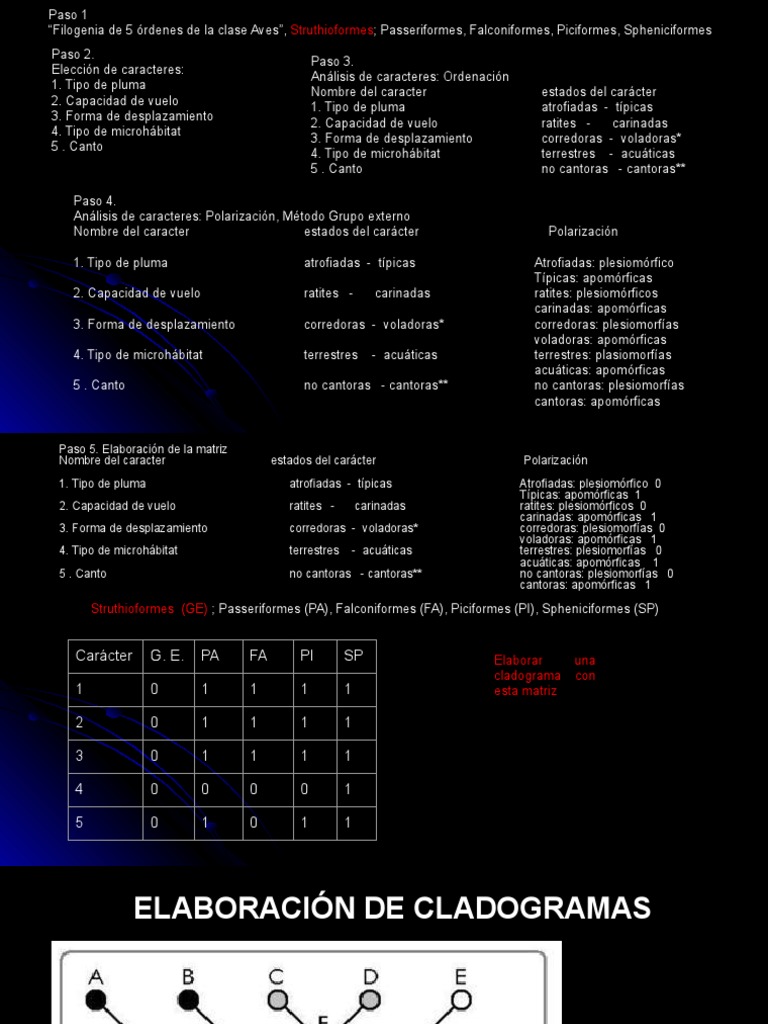 Clase Elaboracion de Cladogramas | PDF | Filogenética | Energia General