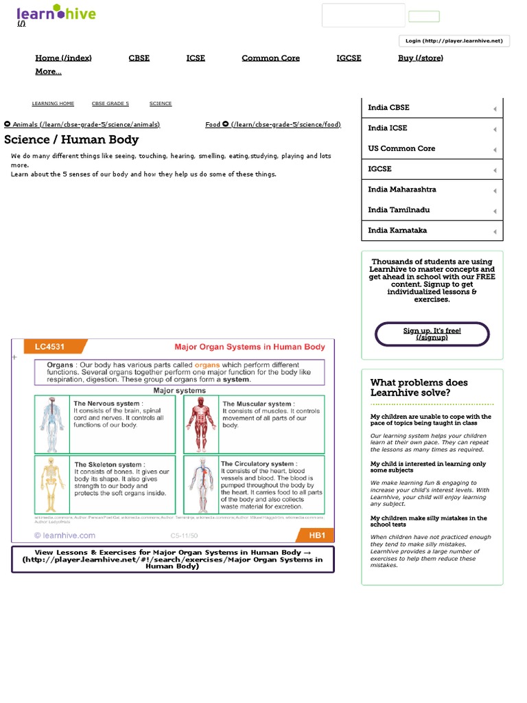 Learnhive - CBSE Grade 5 Science Human Body - Lessons, Exercises, and ...