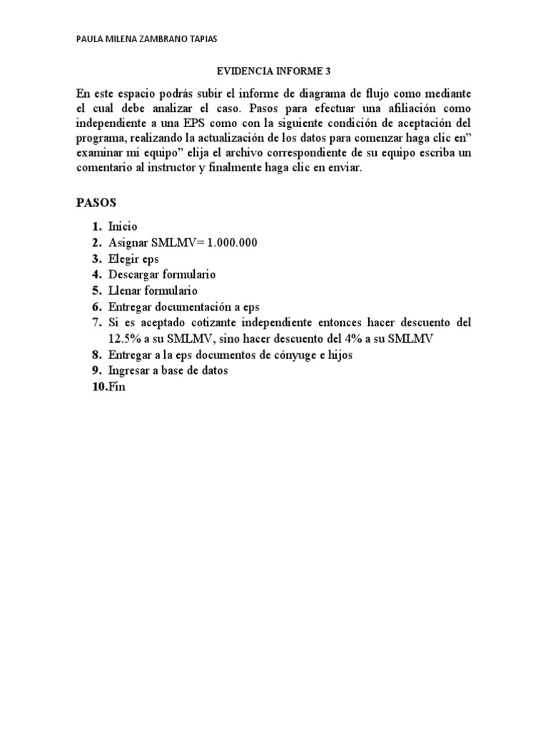 Evidencia Informe 3 | PDF