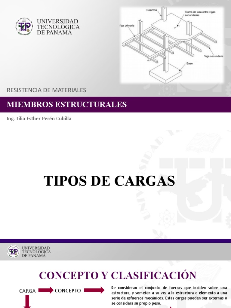 Tipos de Cargas en Estructuras | PDF | Viga (Estructura) | Braguero