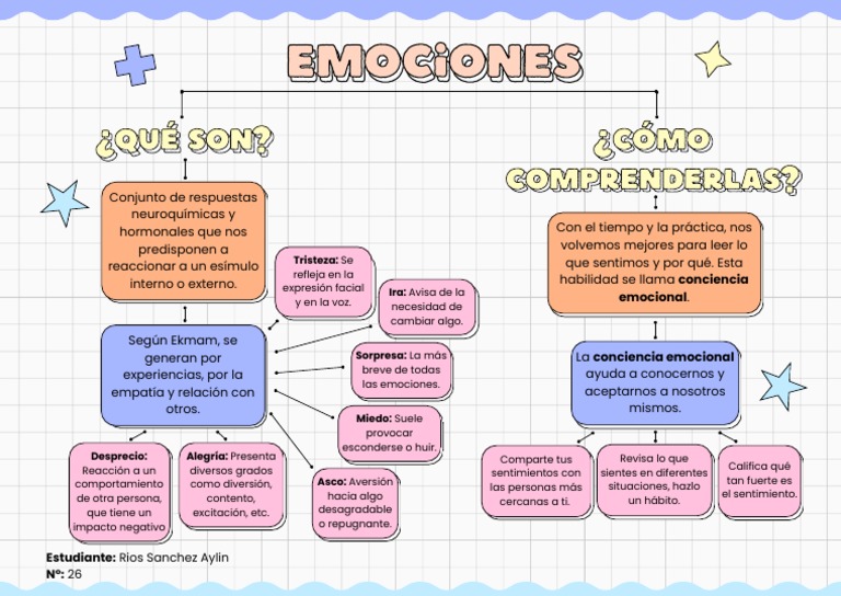 Actividad 01 - II Bimestre - Rios Sanchez Aylin - #26 - 4°F | PDF | Las emociones | Cognición