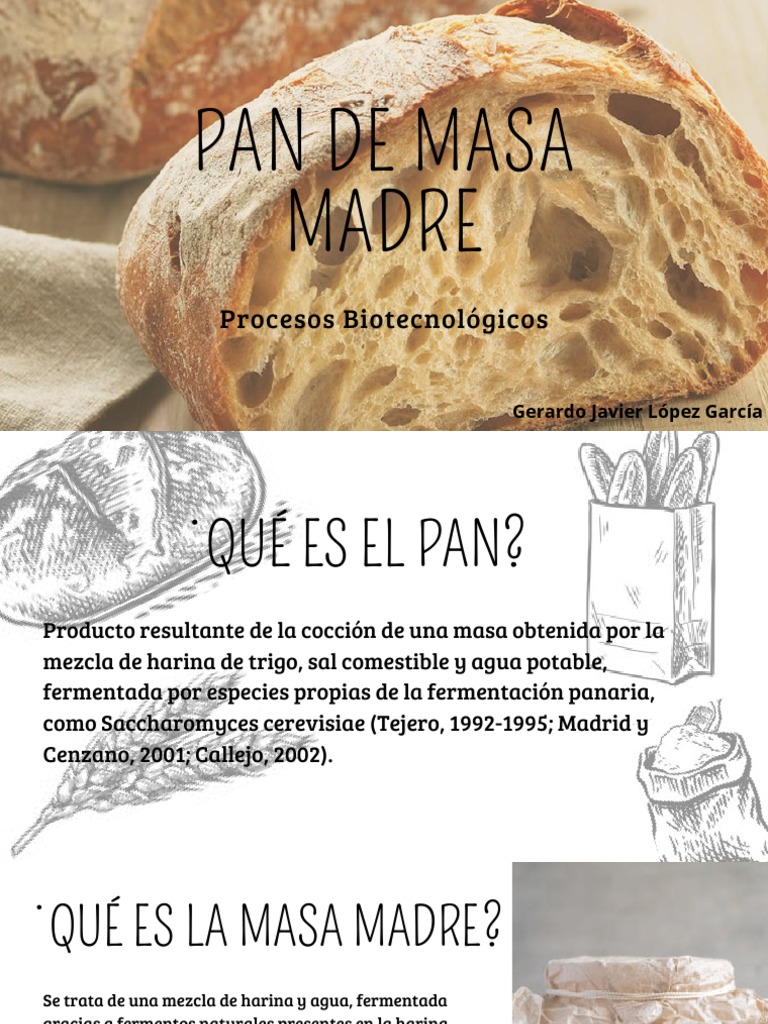 Pan de Masa Madre | PDF | De masa fermentada | Panes