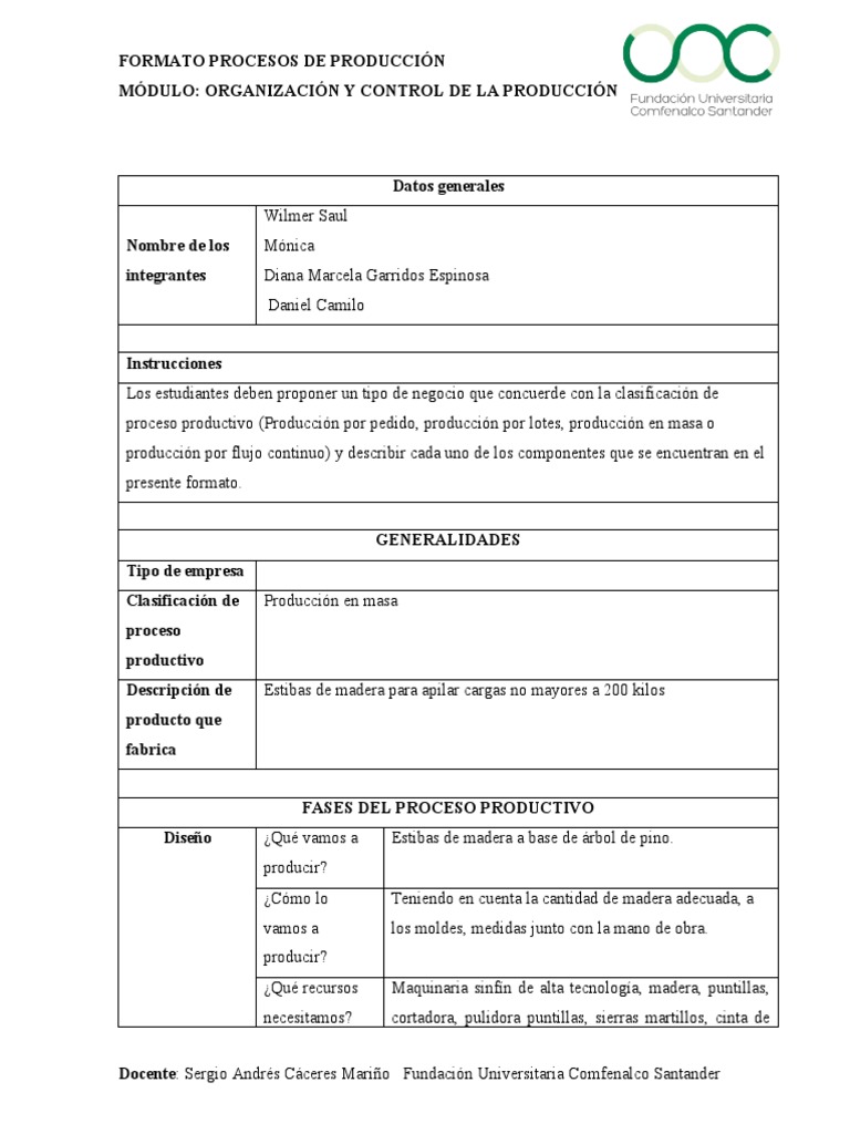Formato Procesos de Produccion | PDF