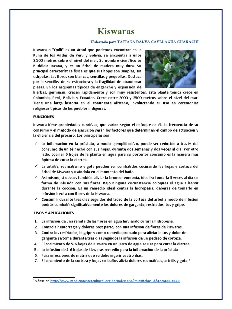 Propiedades y usos de la kiswara | PDF