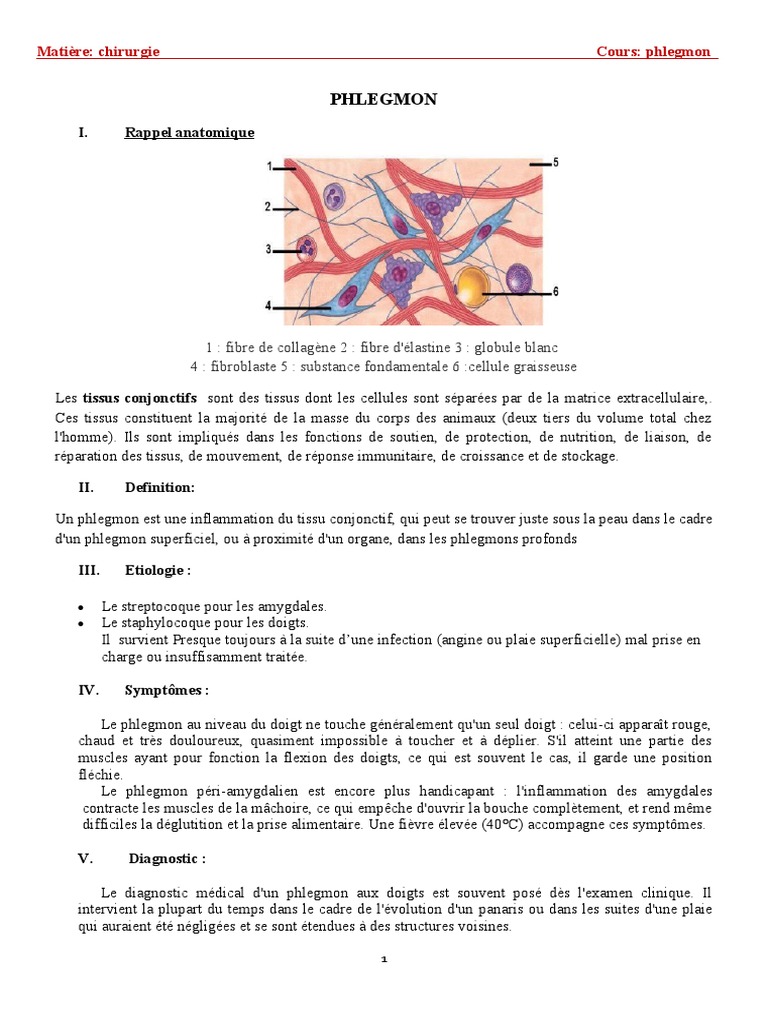 Phlegmon : Définition et Traitement | PDF | Tissu conjonctif | Inflammation