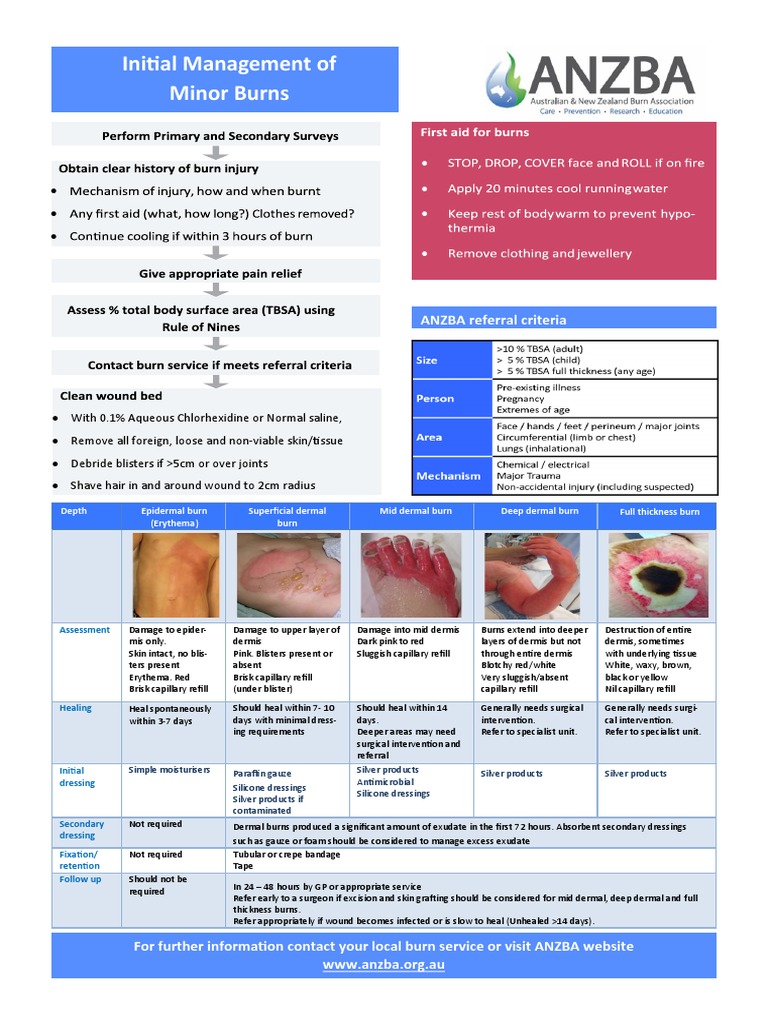 ANZBA Minor Burn | PDF | Burn | Clinical Medicine