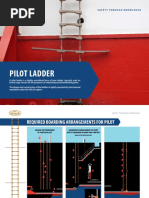 APPENDIX 7 Sample Wheelhouse Poster and Pilot Card | PDF | Ships | Tonnage