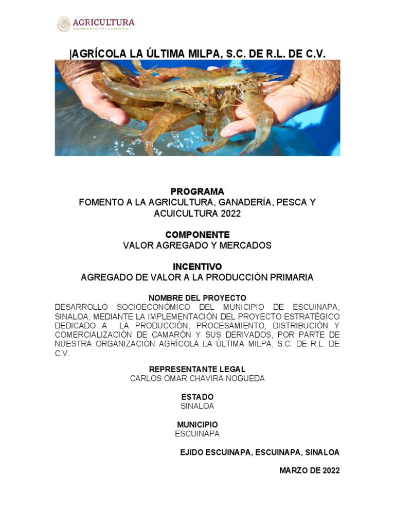 Ok - 30. Anexo 3 - Guión Elaborac Proyec Colec 2 | PDF | Residuos | Agricultura