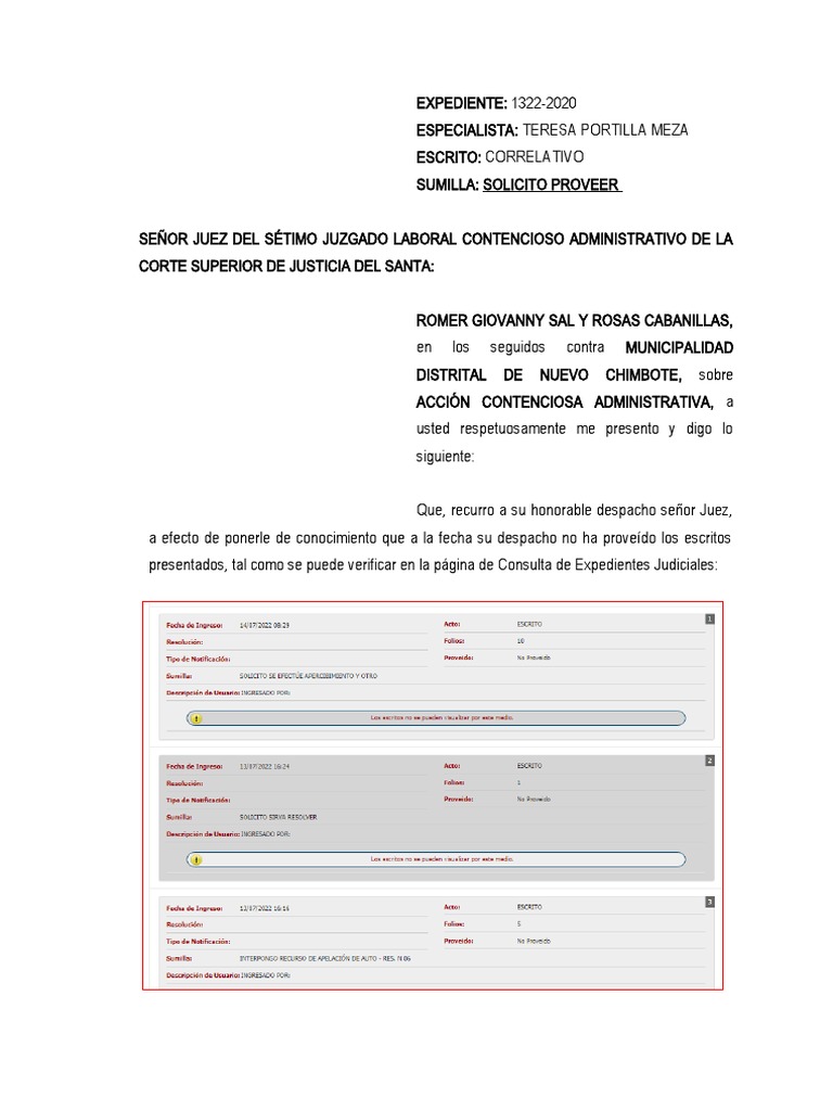 Solicitud de Proveer Escrito Judicial | PDF