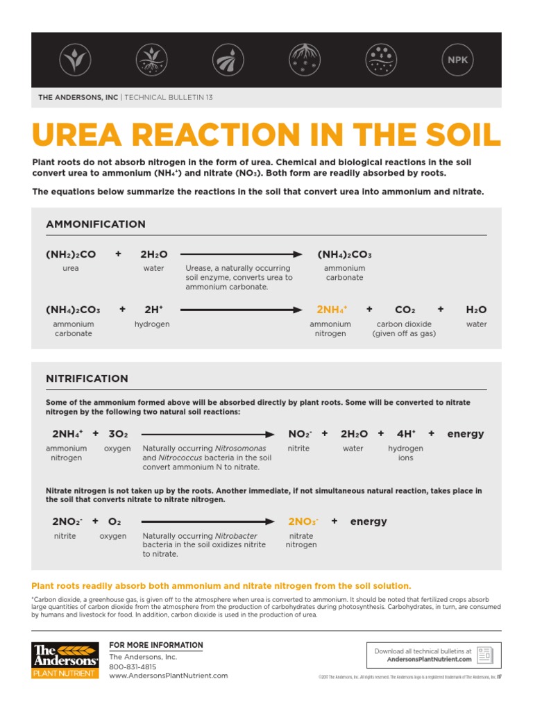 Technical Bulletin 13 Urea Reaction in The Soil | PDF | Urea | Ammonium