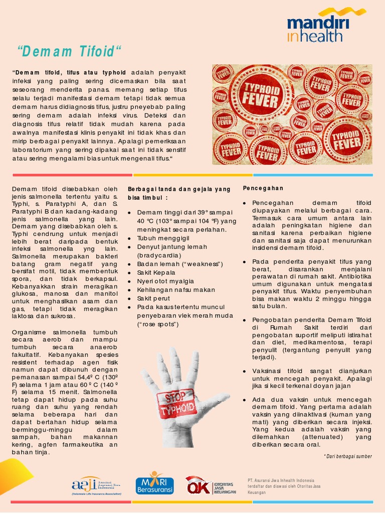 Demam Tifoid | PDF