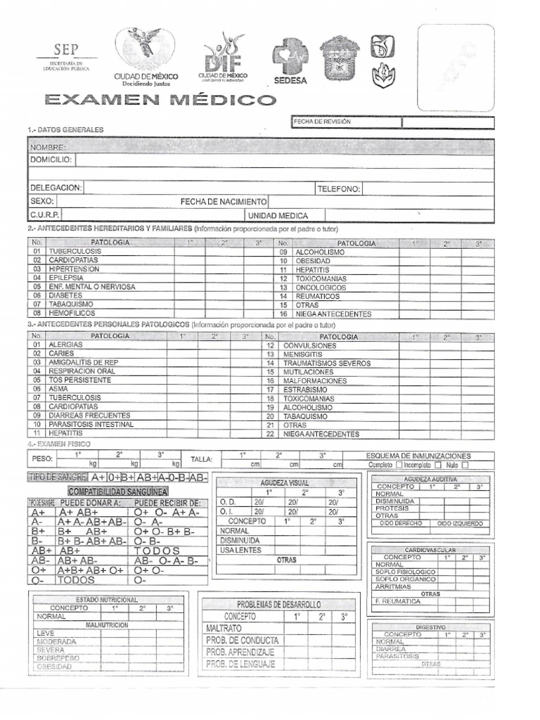 Formato IMSS | PDF