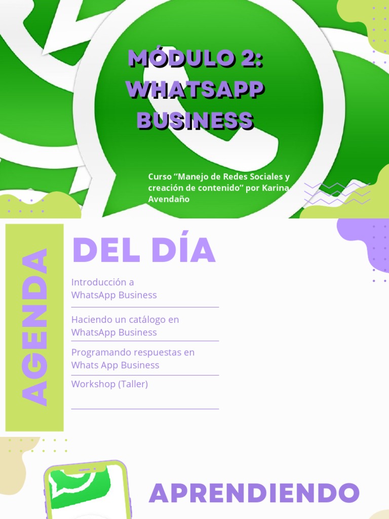 Módulo 2 Whatsapp Business Pdf Facebook Software