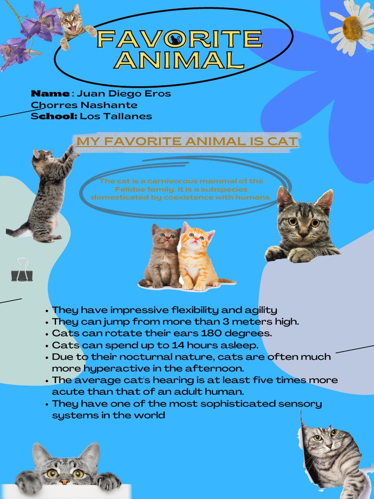 Favorite Animal | PDF