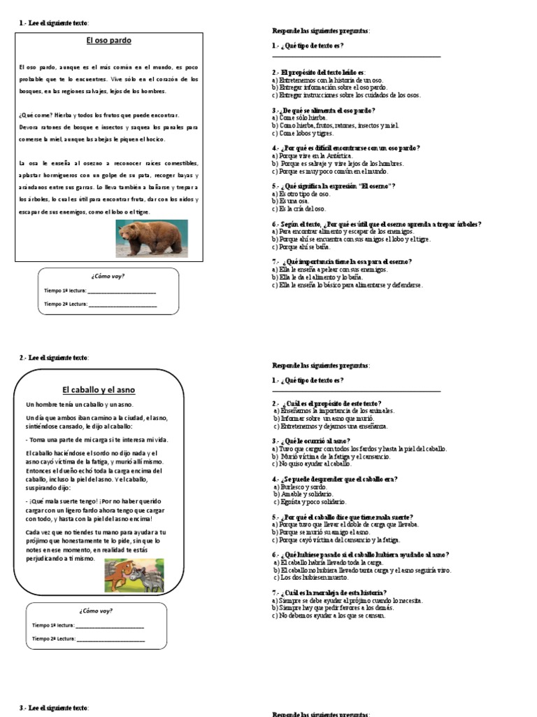 Comprensión Lectora 2° Básico N° 2 | PDF | Osos | Dieta