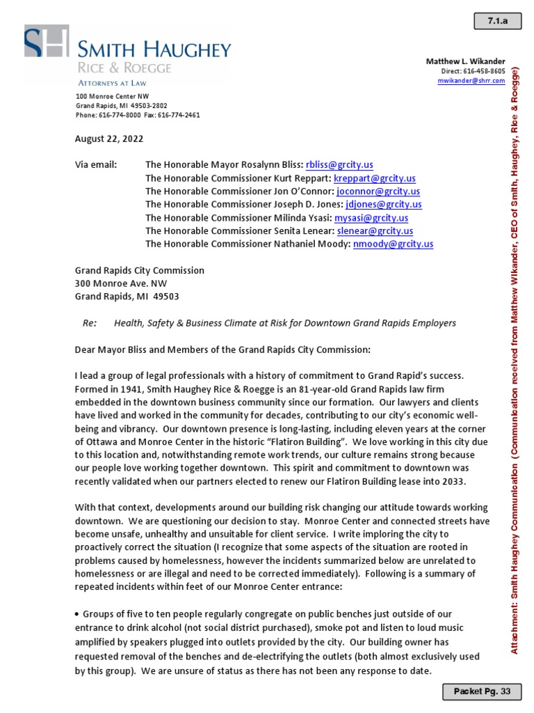 Downtown Safety Concerns | PDF