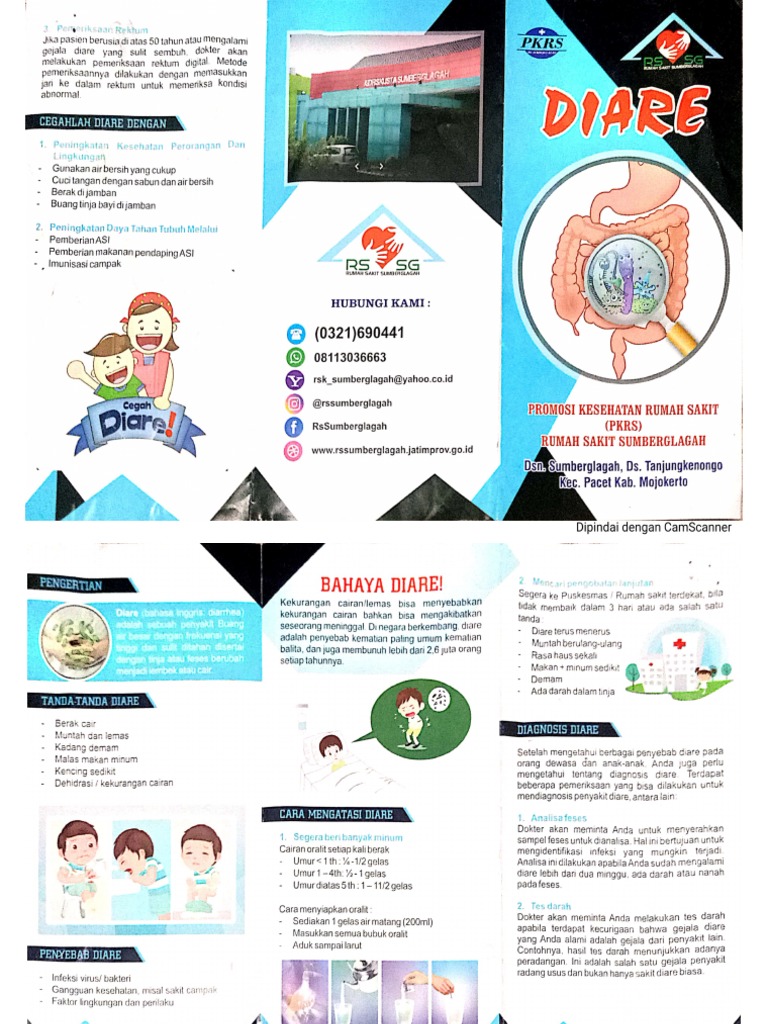 Leaflet Diare | PDF