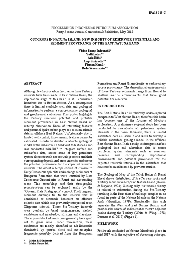 East Natuna Basin Reservoir Insights | PDF | Sedimentary Rock | Geology