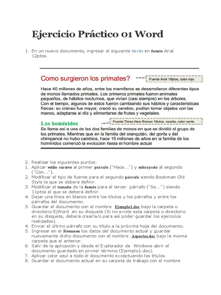 Ejercicio Práctico 01 Word | PDF | Informática