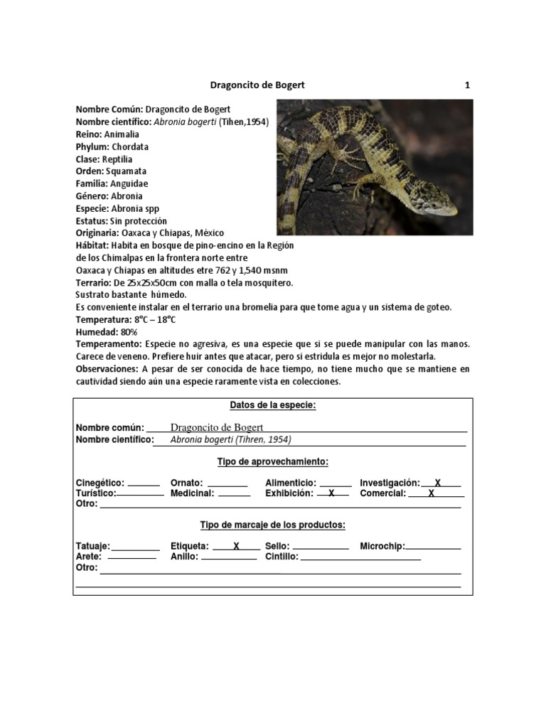 Guía sobre Dragoncitos de México | PDF | México