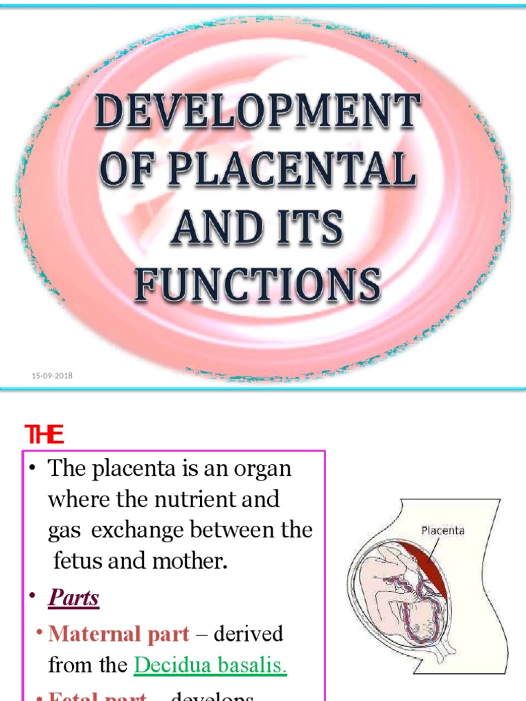 Development of Placenta | PDF | Implantation (Human Embryo) | Placenta