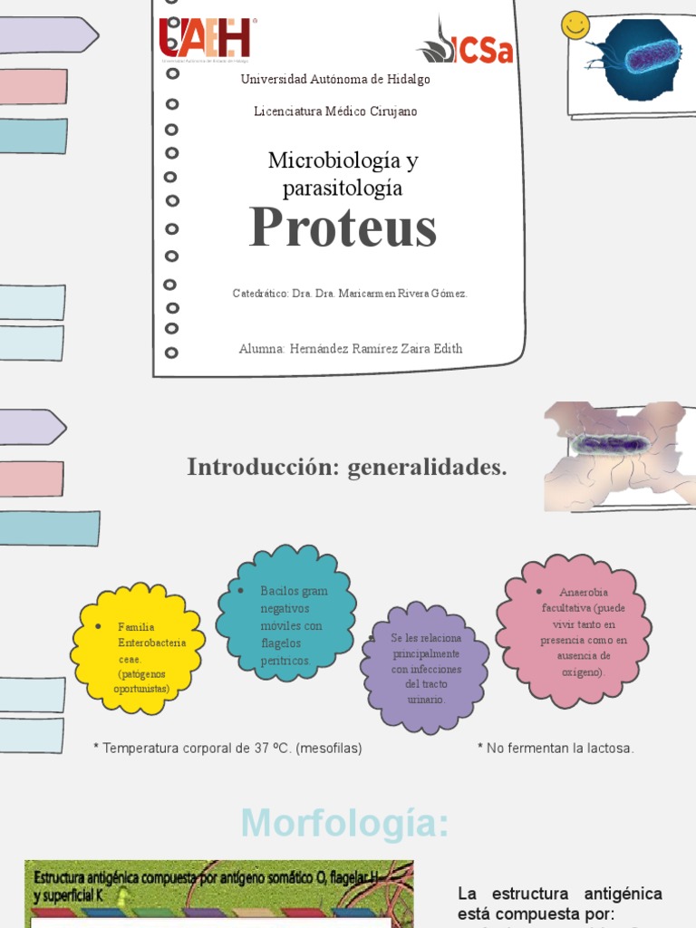 Proteus: Patogenicidad y Diagnóstico | PDF | Bacterias Gram-negativo ...