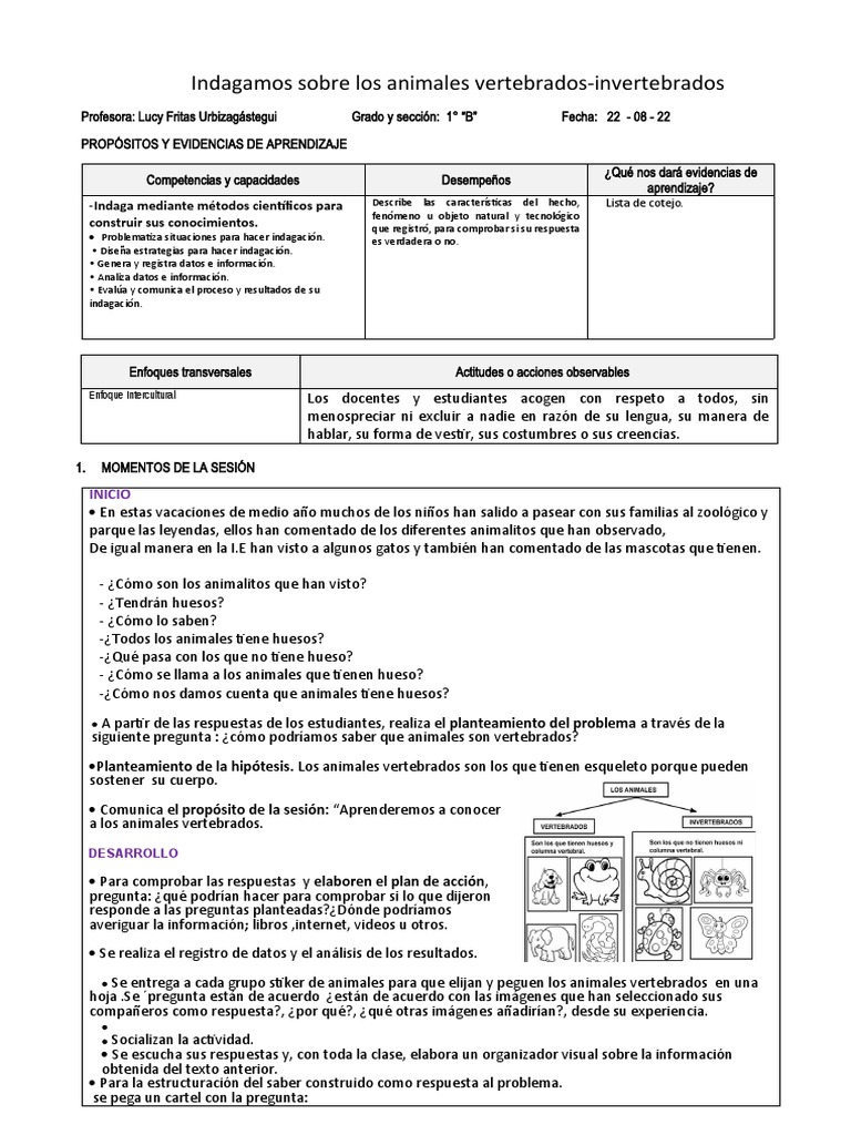 Animales vertebrados: ballenas y delfines | PDF | Aprendizaje | Science