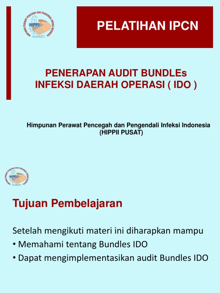 Penerapan Audit Bundles Ido | PDF