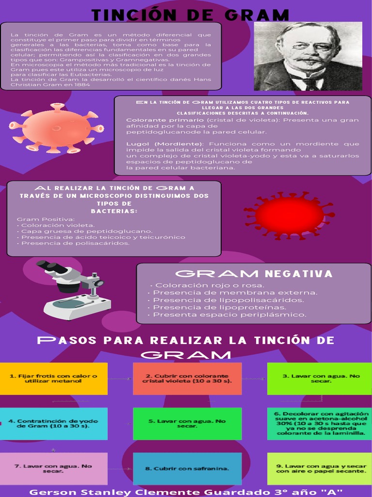 Tinción de Gram | PDF