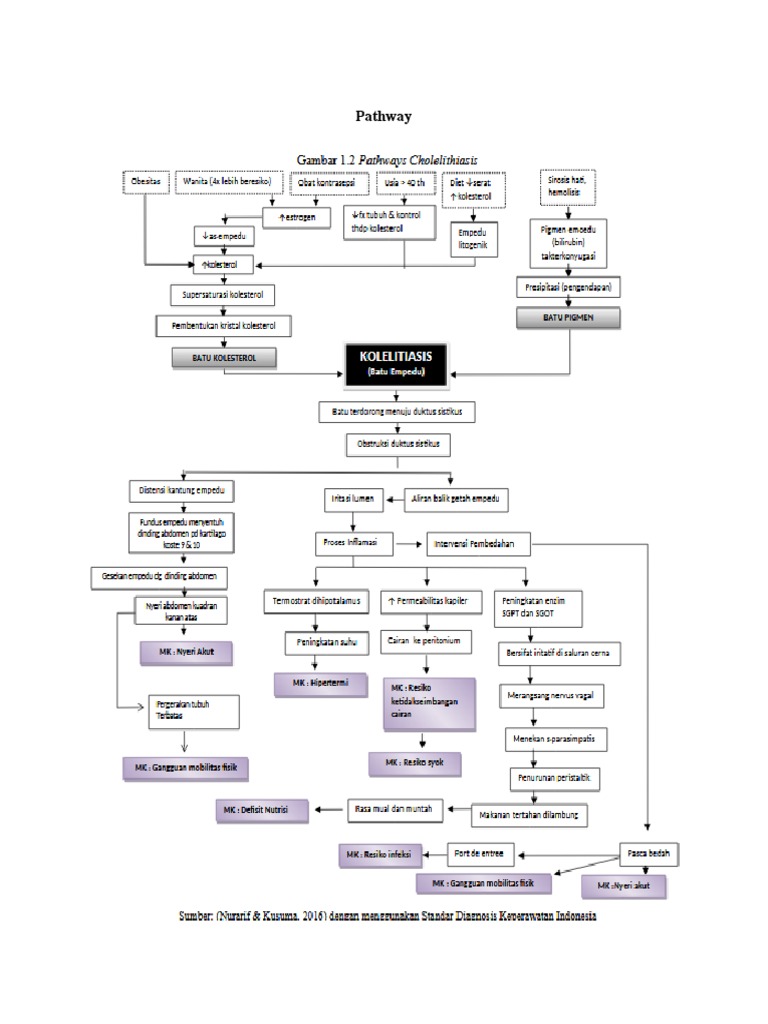 Pathway Cholelitiasis | PDF