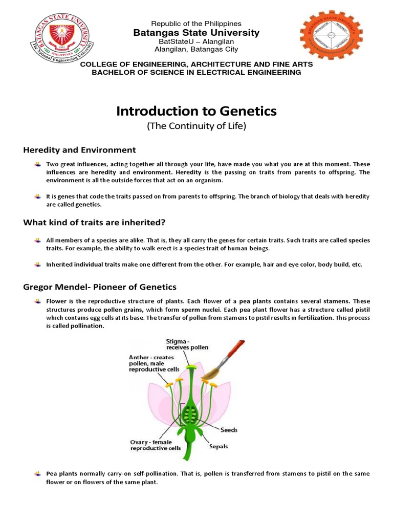 8.Intro to Genetics_MODULE | PDF | Dominance (Genetics) | Genotype