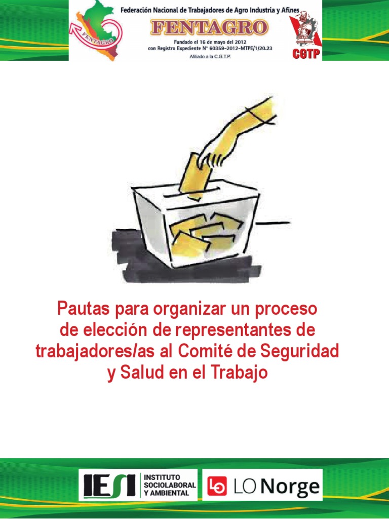 Eleccion de Representantes Al CSST Final | PDF | Votación | Votación