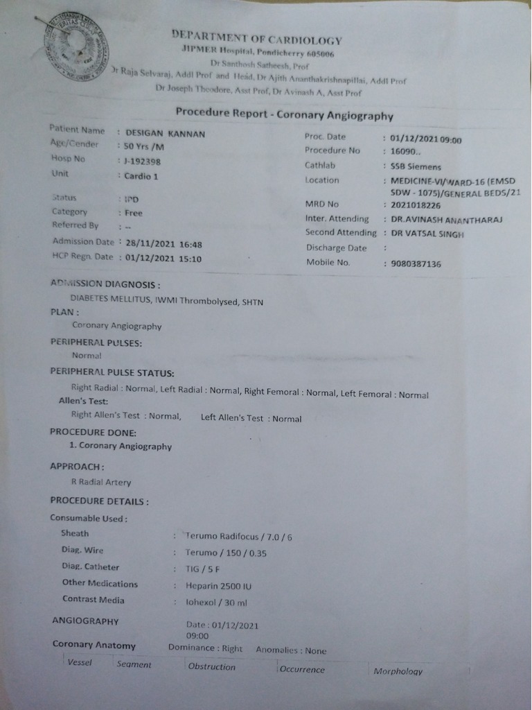 Desigan Report | PDF