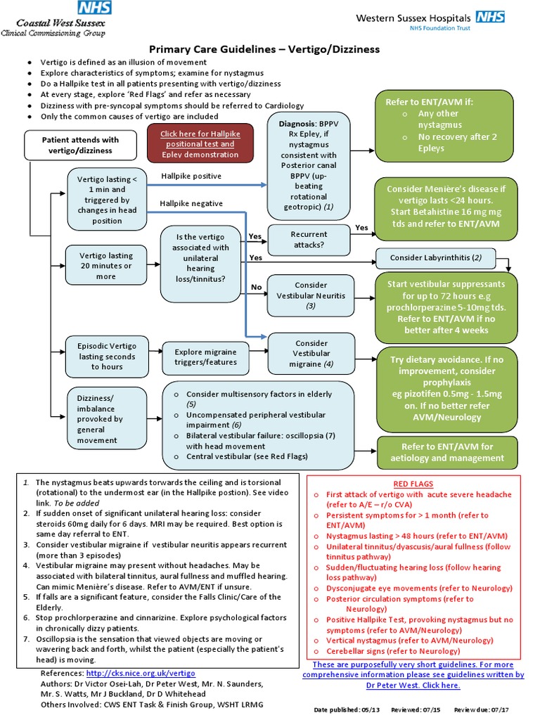 ENT Vertigo FINAL v0.41 | PDF | Vertigo | Health Sciences