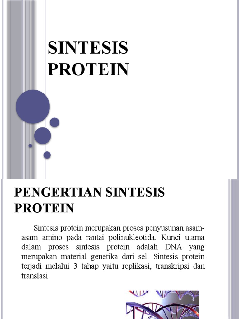 Tahapan Sintesis Protein dalam Sel | PDF | Sains & Matematika