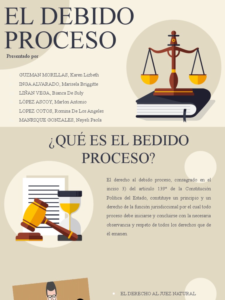 El Debido Proceso | PDF