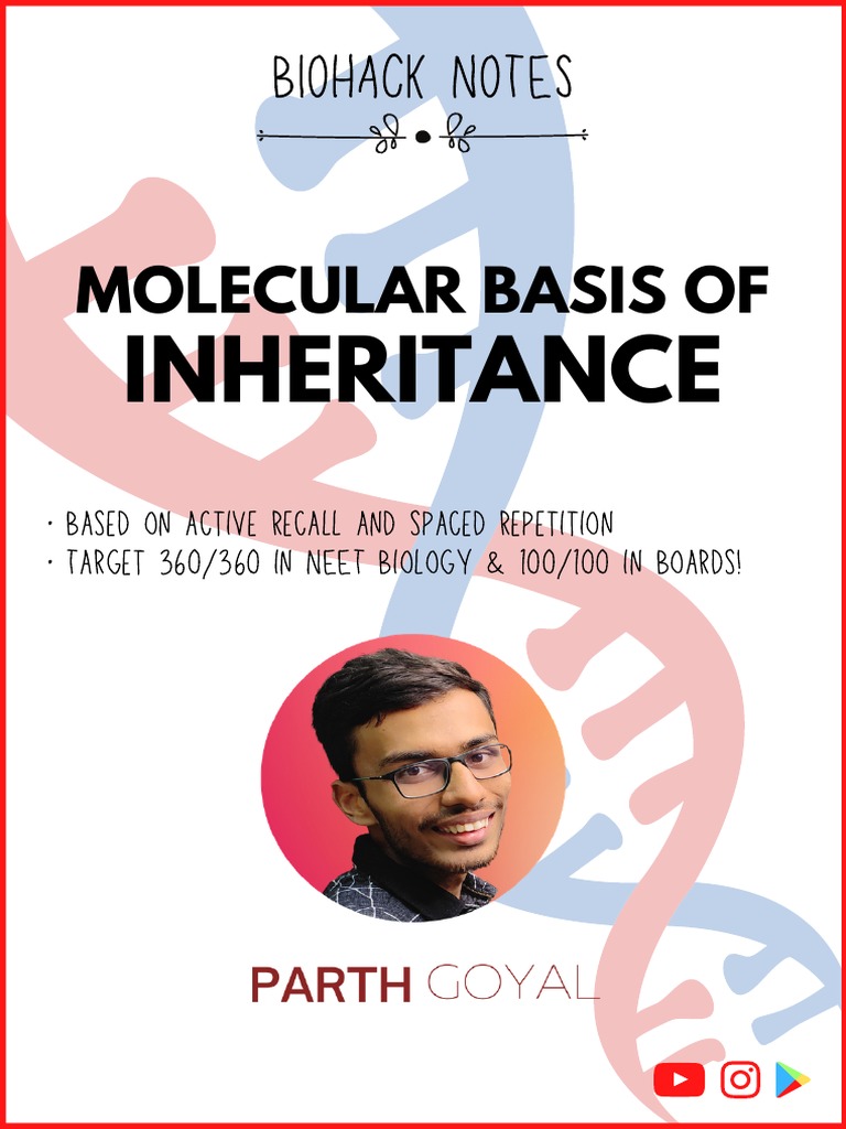 Molecular Basis of Inheritance Notes | PDF | Genetic Code | Gene